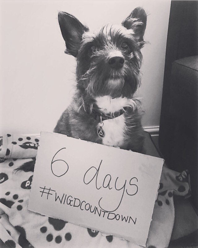 String Infusion (@stringinfusion) | Twitter