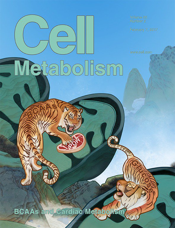 Cell Metabolism Journal