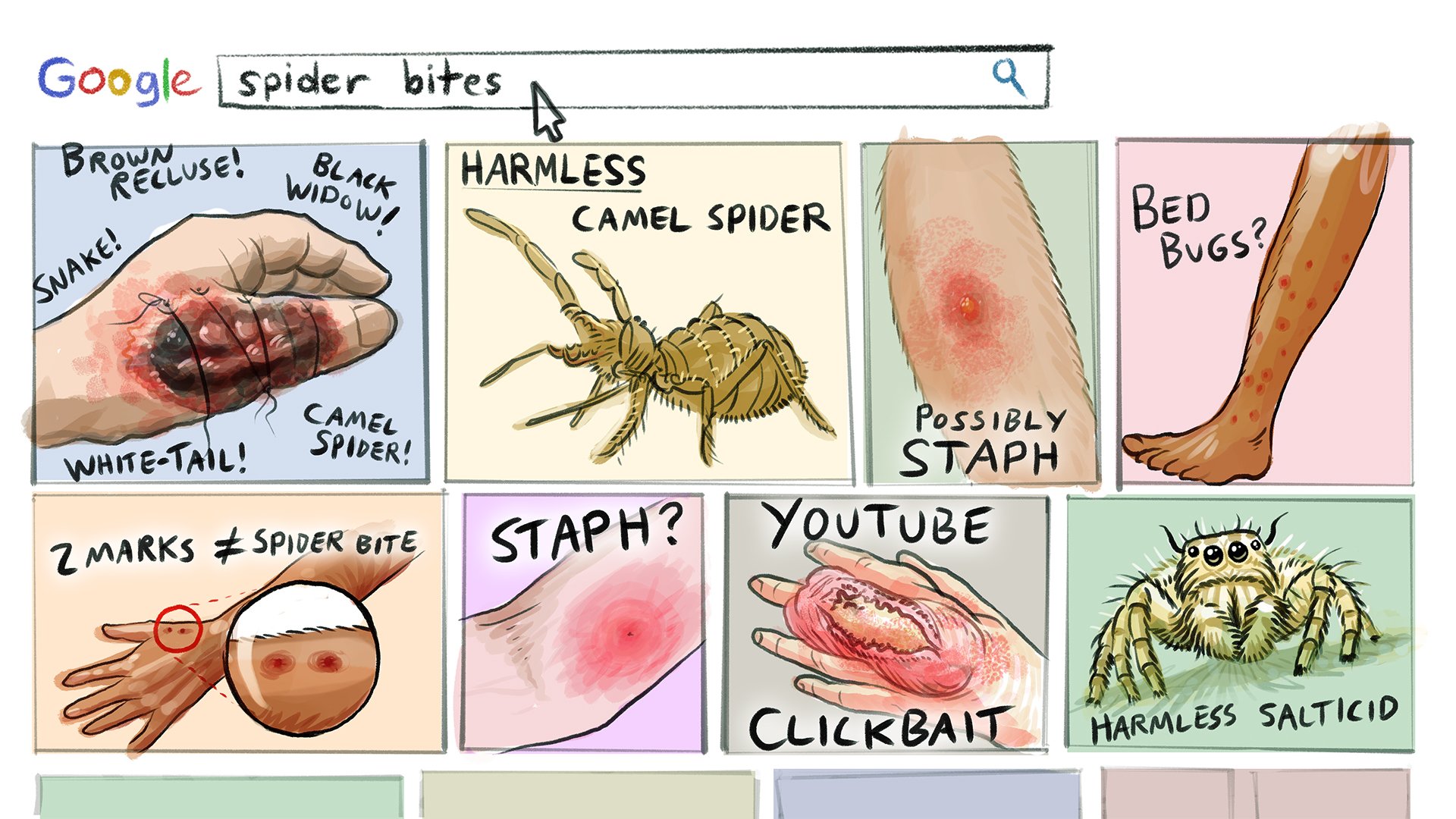 Camel Spider Attacks Dog