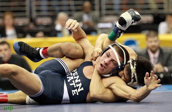 Wrestler Bulges Wresterbulge Twitter Profile Sotwe