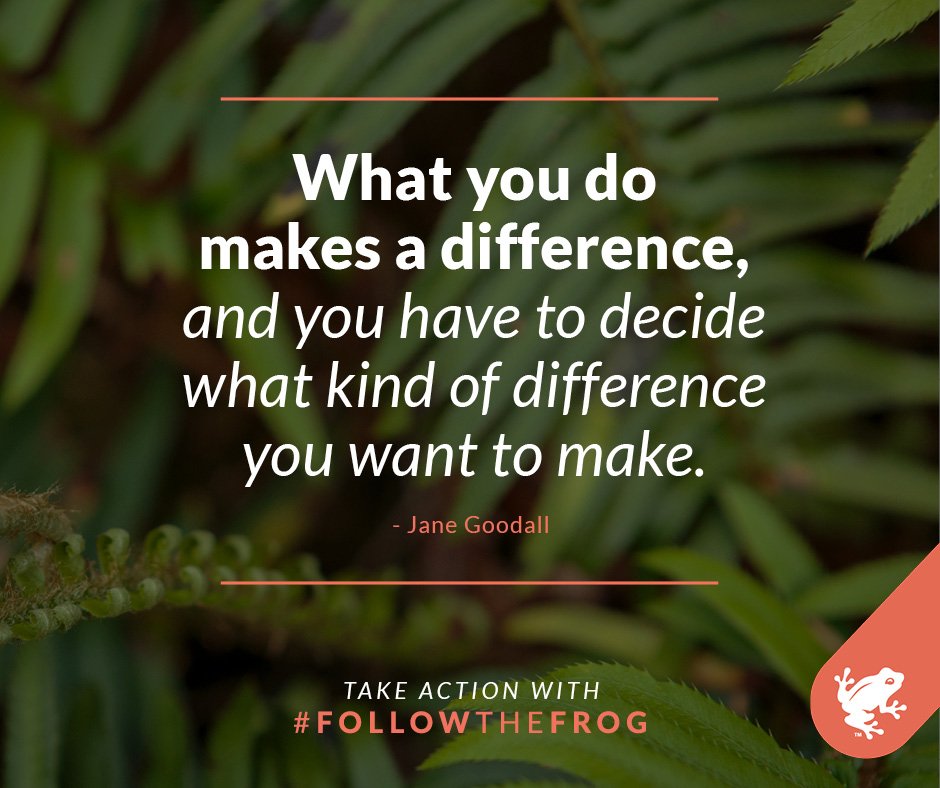 Your Actions Make The Difference