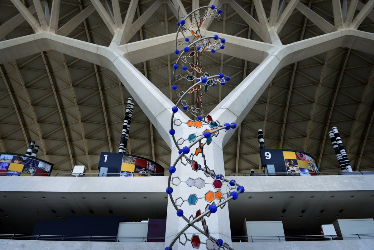 La investigadora Rosalind Franklin descubrió al mundo en 1953 la ...