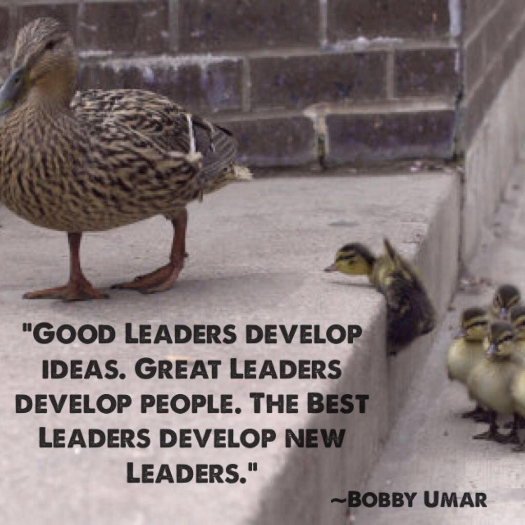 Employee Development Quotes Employee Development Quotes