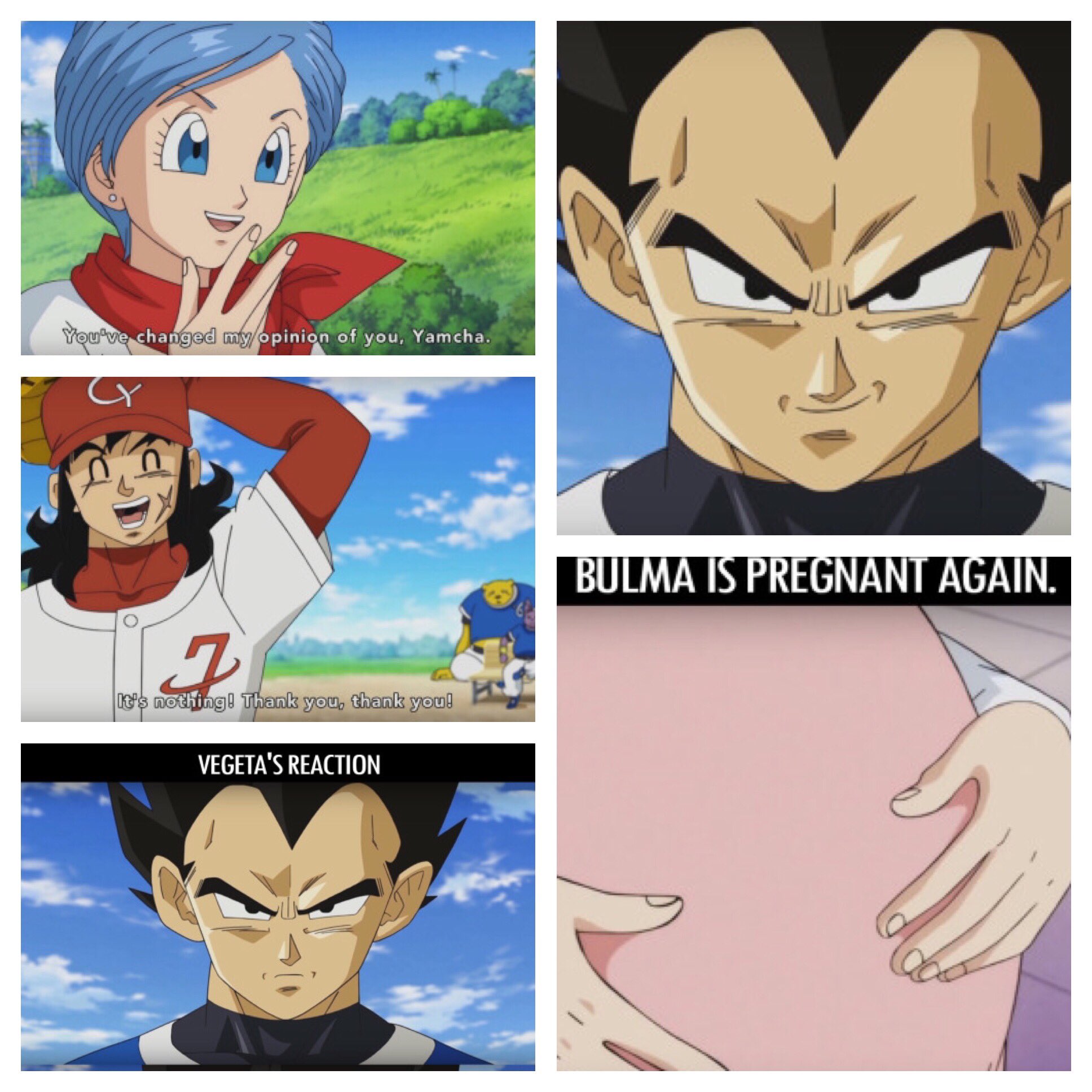 Vegeta Yamcha Memes