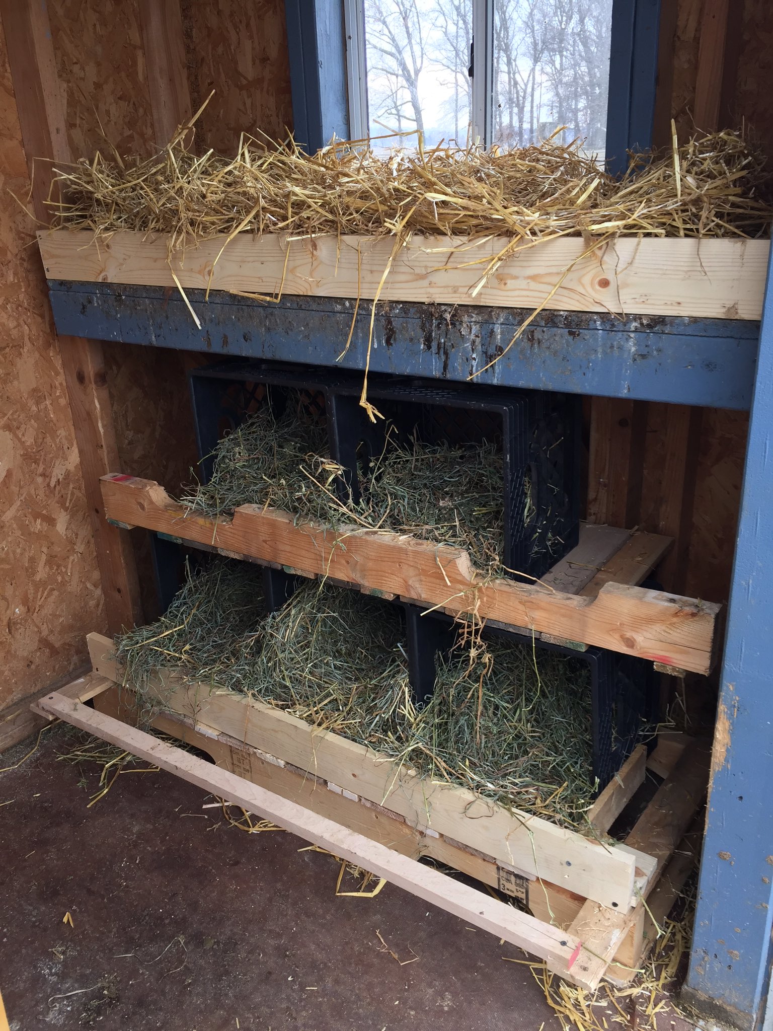Homemade Rabbit Nest Box