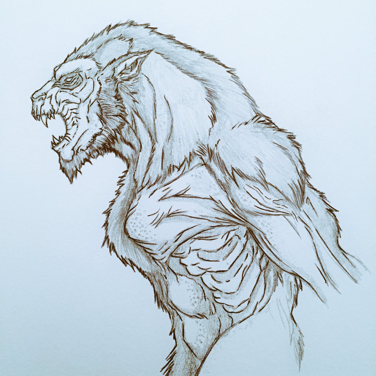 Lycan Sketches