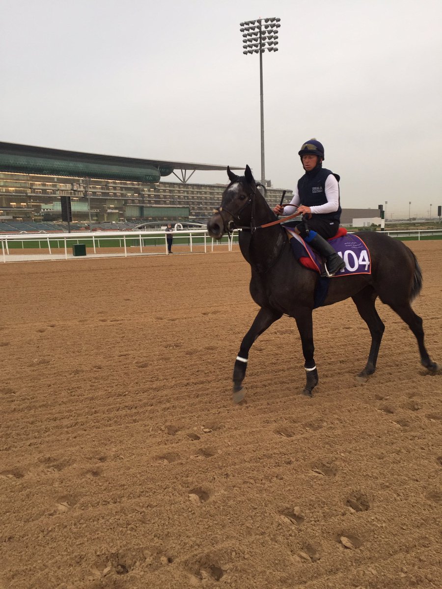 Deva Racing (@devaracing) | Twitter