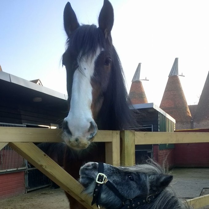 The Hop Farm - A fun family day out in the heart of Kent