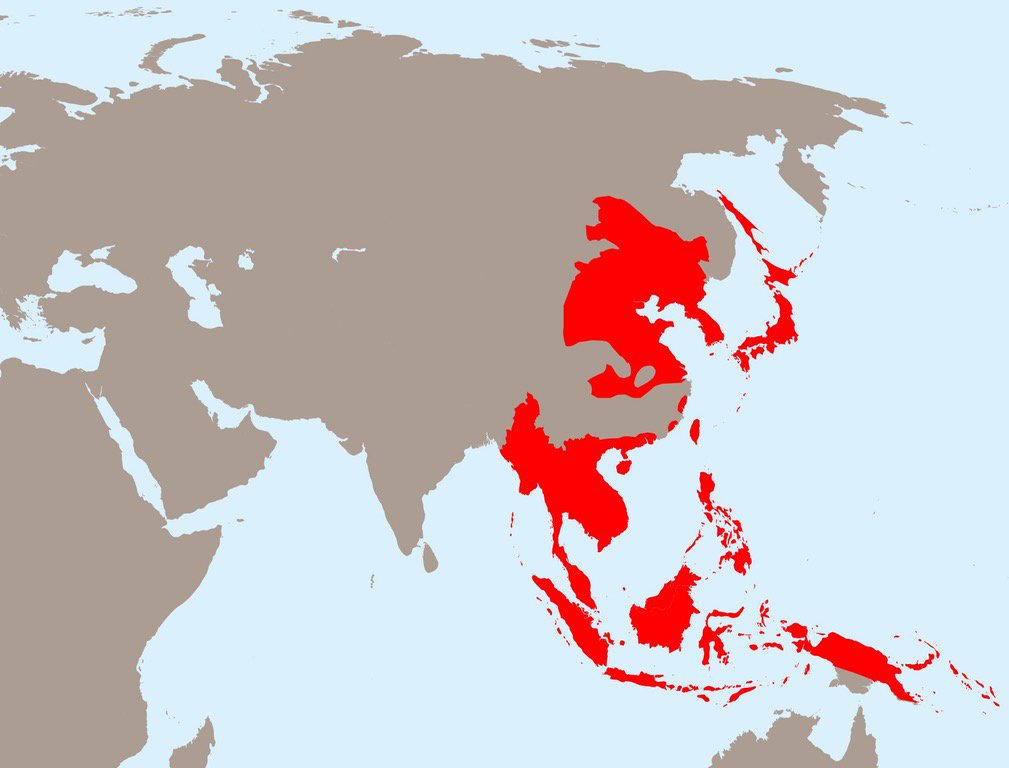 El Imperio Japonés en su máxima extensión, 1943. Vía spectatorindex ... El Imperio Japonés en su máxima extensión, 1943. Vía spectatorindex ...
