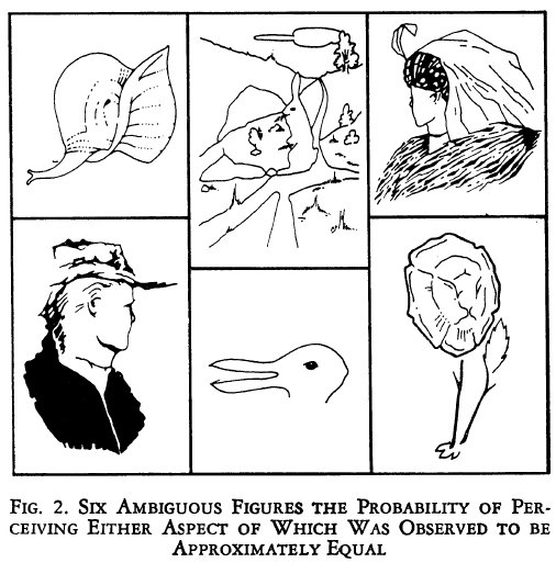Ambiguous Figures