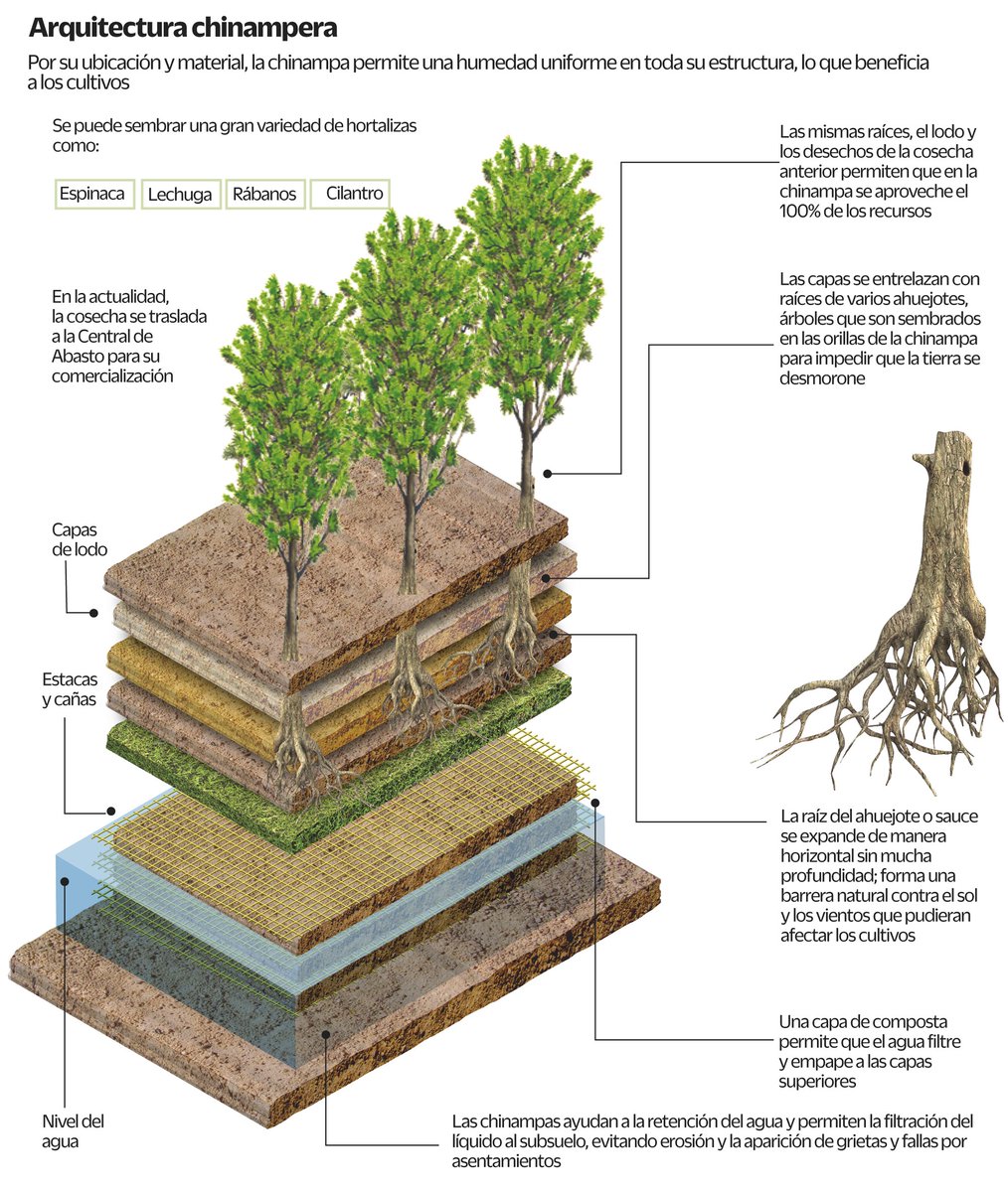 ¿Sabes cómo son las chinampas que constituyen Xochimilco? te cuentas ...