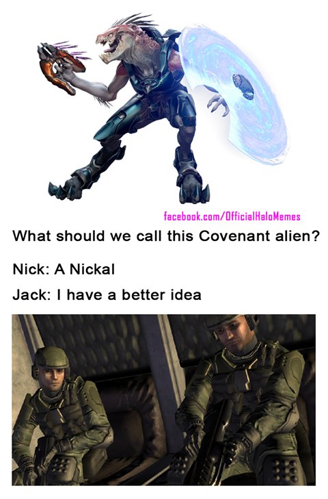 Jackal Memes Jackal