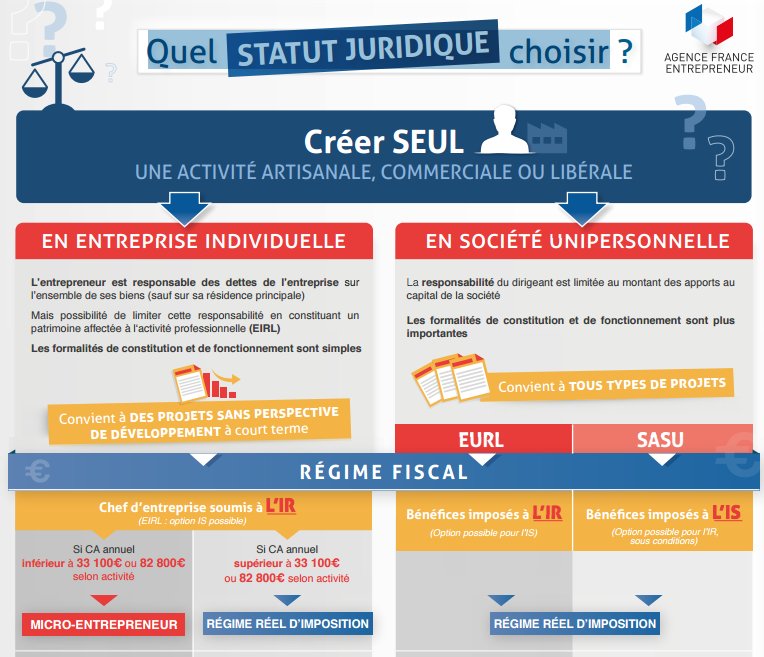 modèle de statut d'une entreprise individuelle pdf