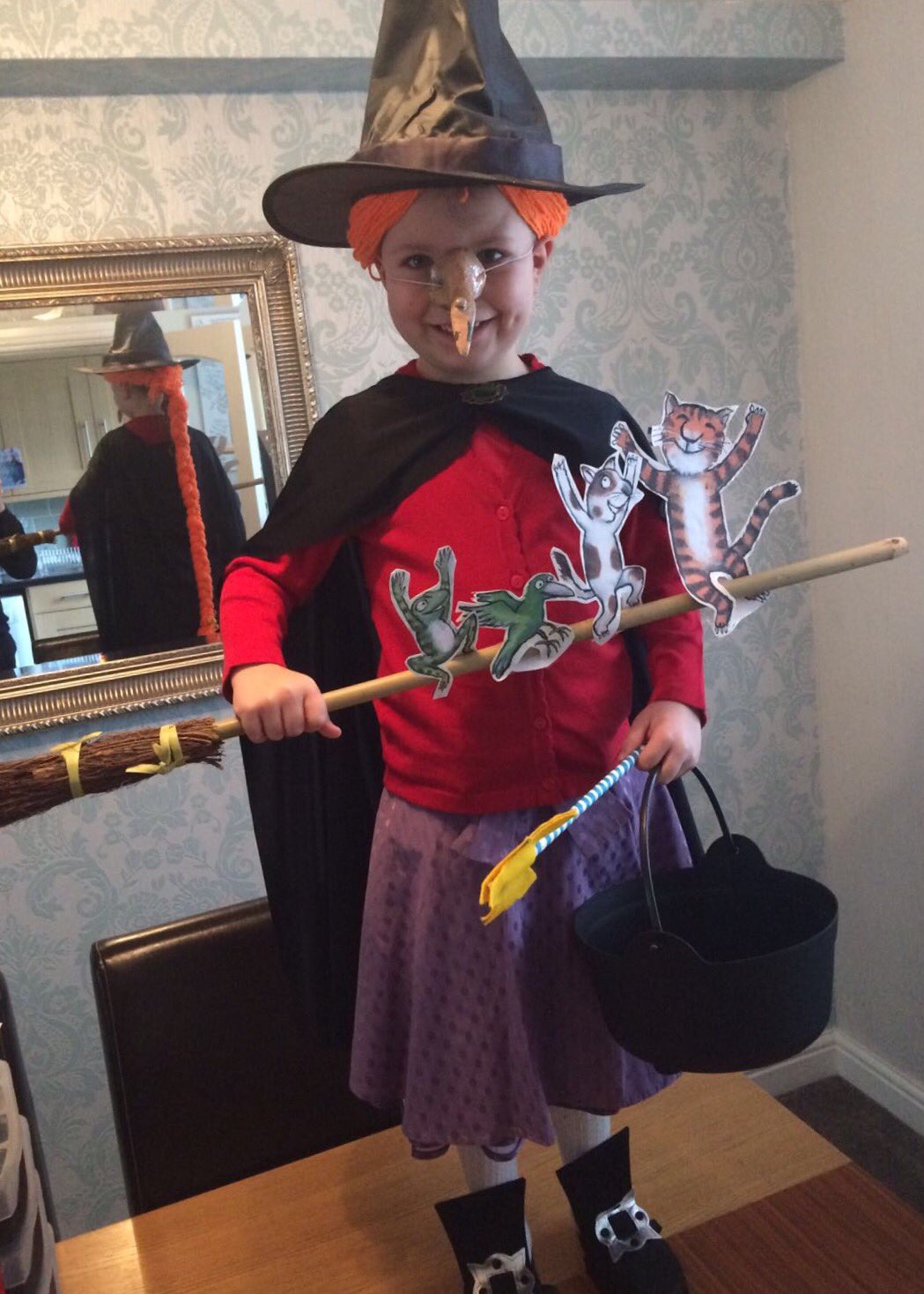 Diy Room On The Broom Costume USA Outlet | www.pinnaxis.com