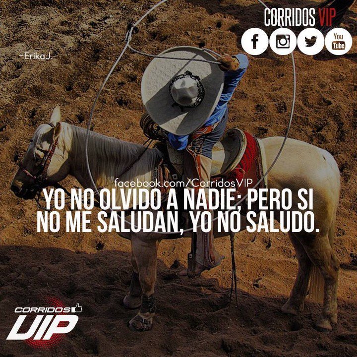 Vip Corrido Quotes