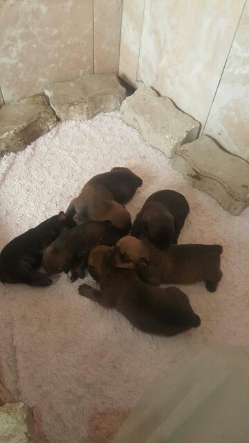 michael mwango (@Mwango_script) | Twitter