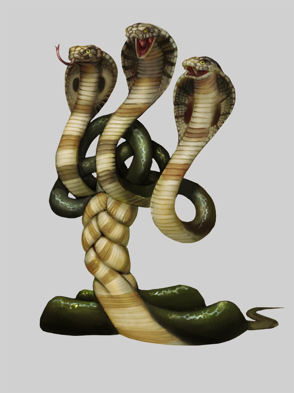 3 Headed Snake