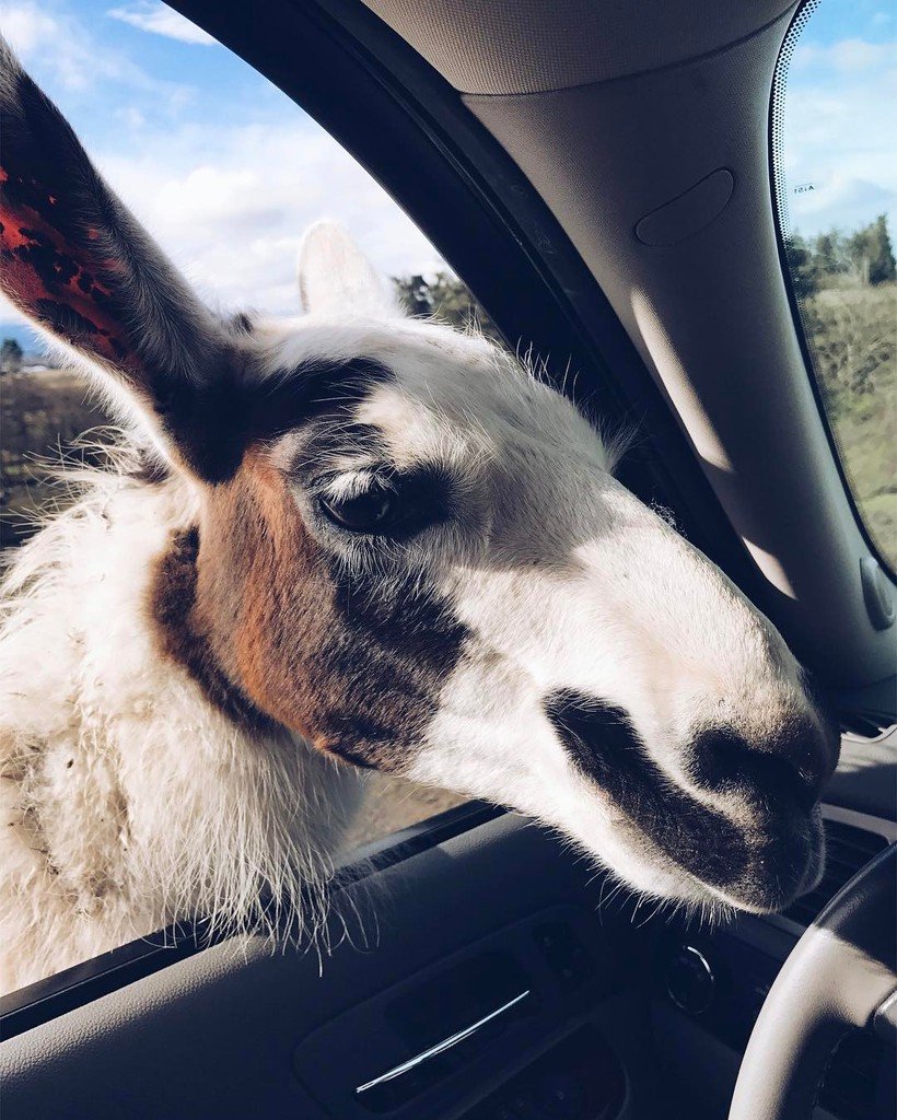 Jake Orme (@jatorme) | Twitter