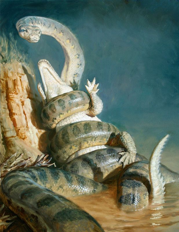 Green Anaconda Vs Titanoboa