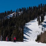 Zipline Adventure Tours | Angel Fire Resort New Mexico