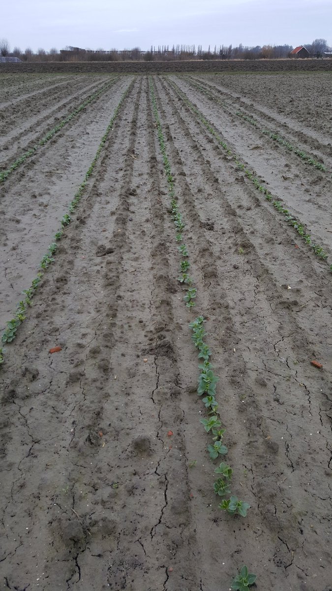 CropSolutions (@CropSolutions) | Twitter