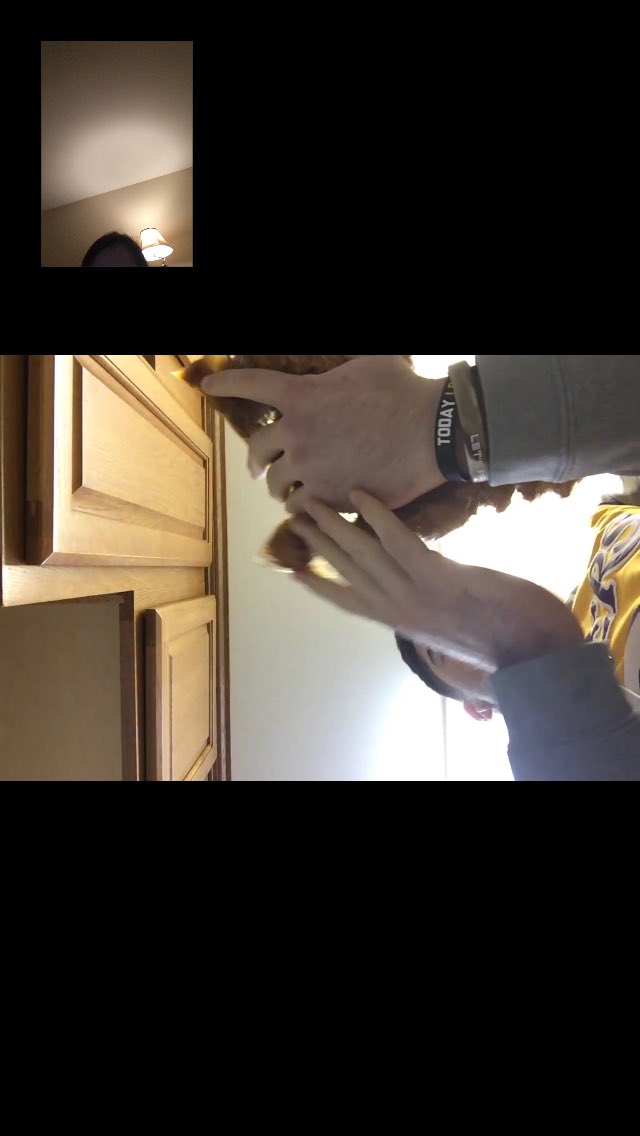 Renee Enz (@renee_enz) | Twitter