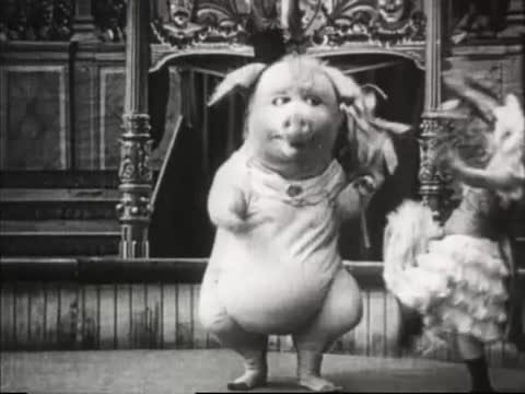 Dancing Pig 1907