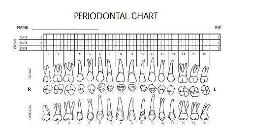 Periodontal Charting Form Printable - Printable Forms Free Online
