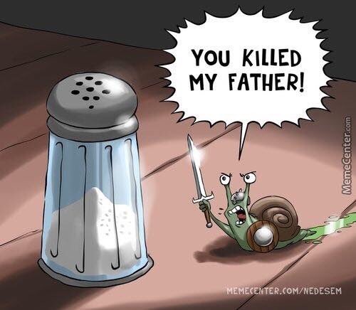 Snail Covered In Salt