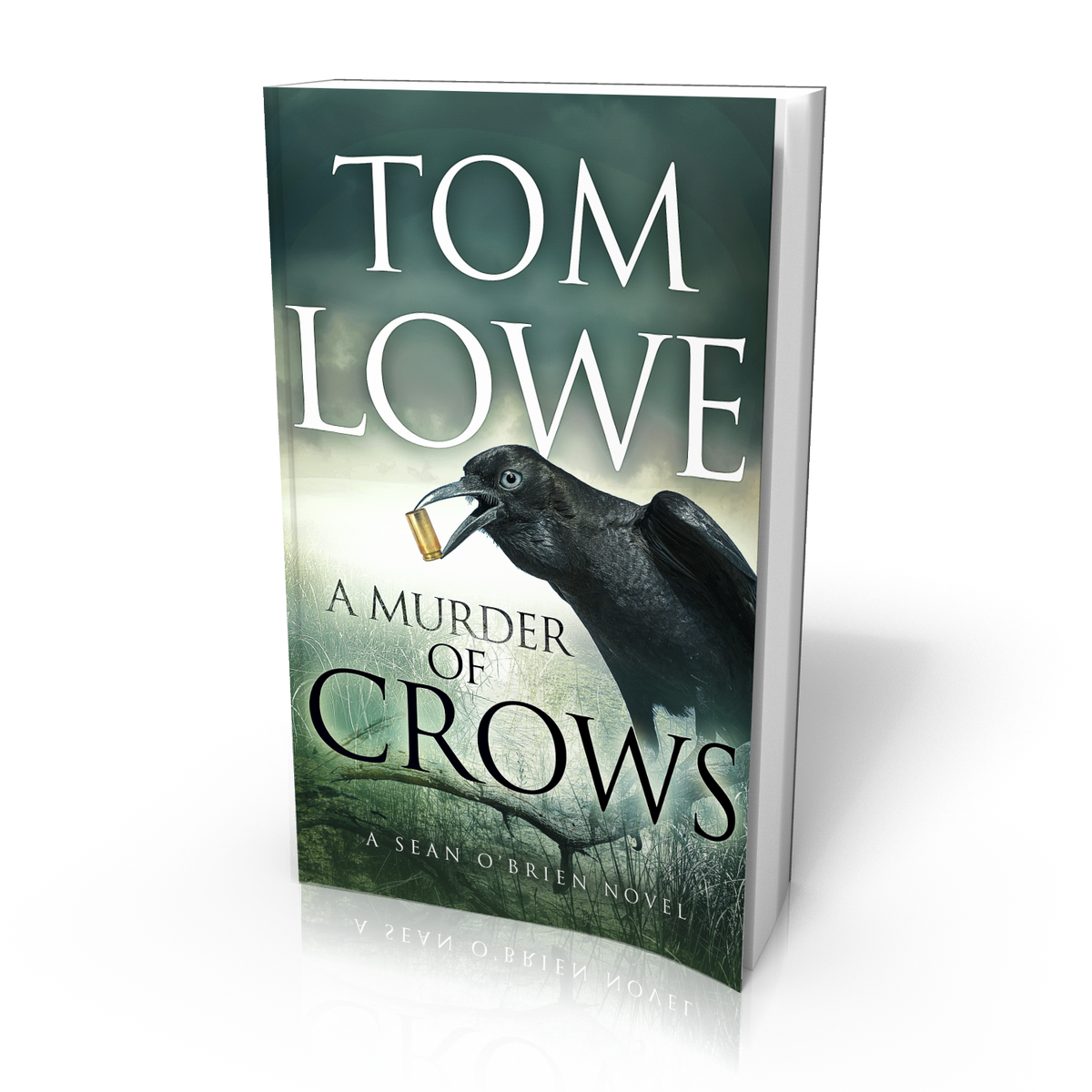 Tom Lowe (@TomLoweBooks) | Twitter