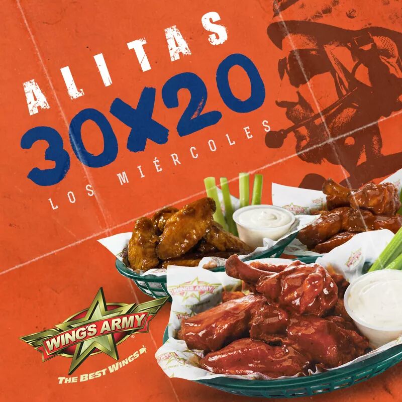 Arriba 57 Imagen Alitas Tipo Wings Army Abzlocal Mx
