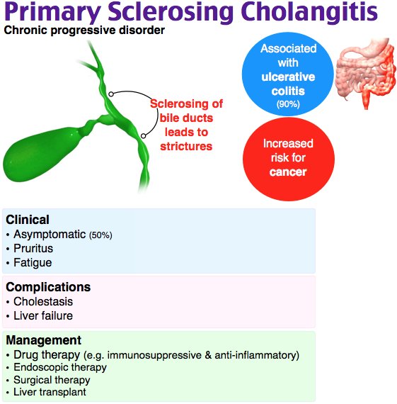 Sclerosing Cholangitis