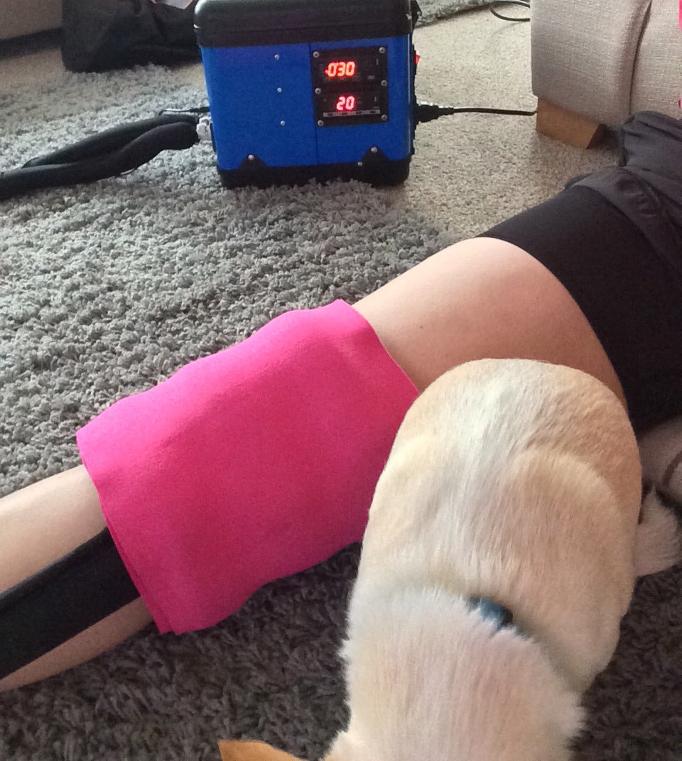 APS360 (@aps360) | Twitter