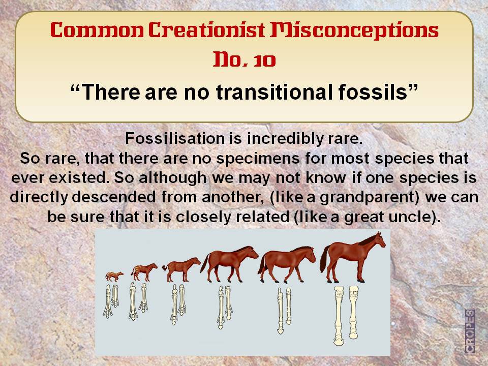 Misperception Examples