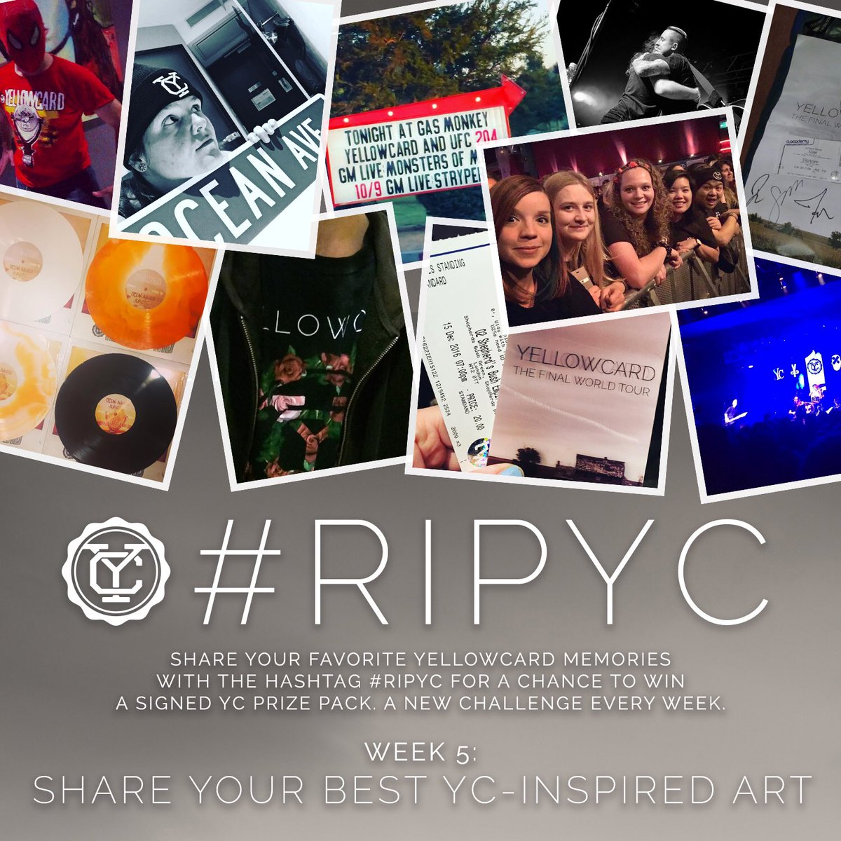 8 best Twitter Yc images on Pholder | Want handwritten lyrics to your ...