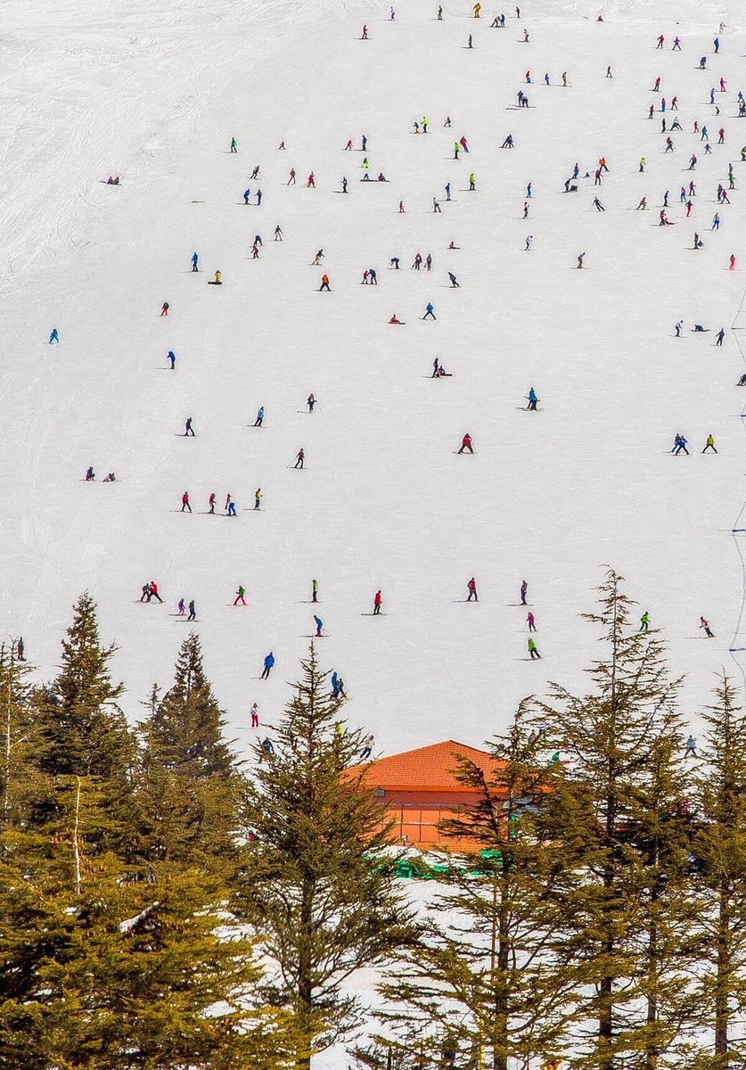 (Picture of the day 2/26/2017) from Al Arez Photo by H. Hamoud : r/lebanon