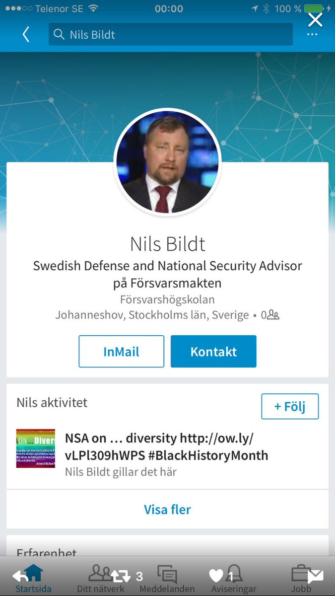 Fox News intervjuar Nils Bildt, "swedish defence and national security ...