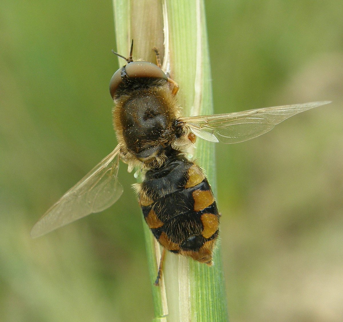 Emily Rose Baker (@EmilyRoseBaker_) | Twitter