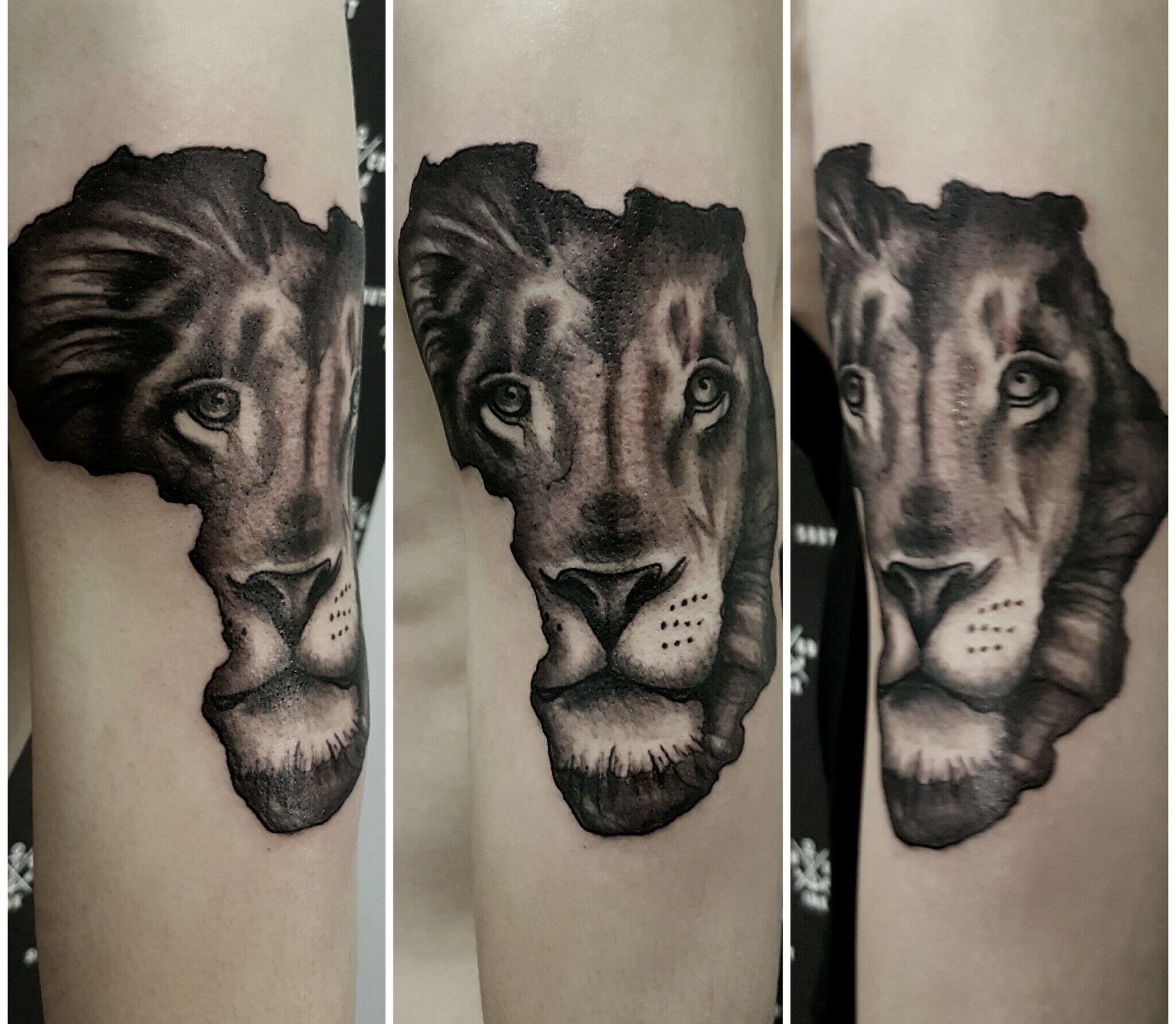 African Lioness Tattoo