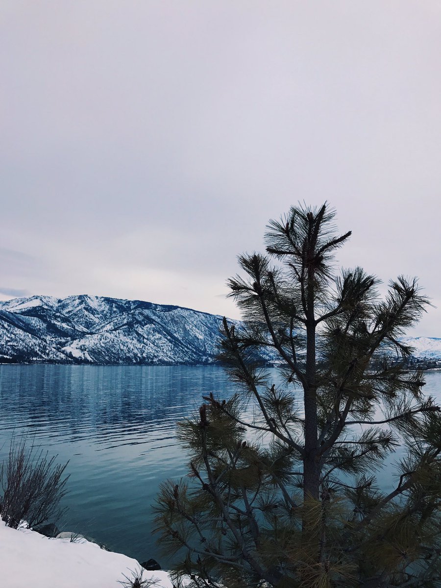 Julia Chestnut's Instagram, Twitter & Facebook on IDCrawl