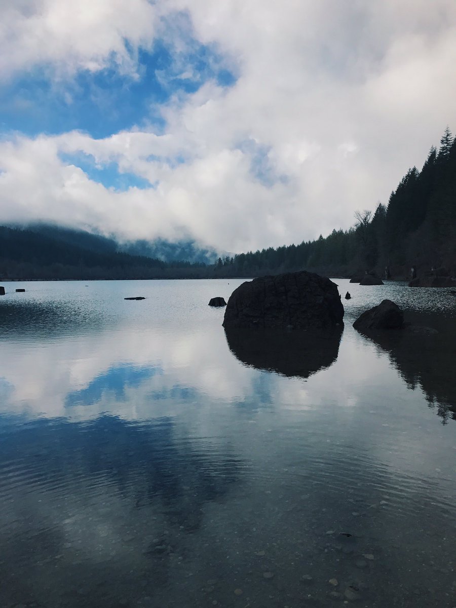 Julia Chestnut's Instagram, Twitter & Facebook on IDCrawl