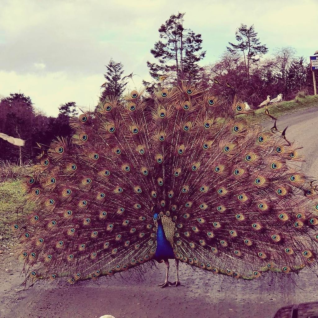 Jake Orme (@jatorme) | Twitter