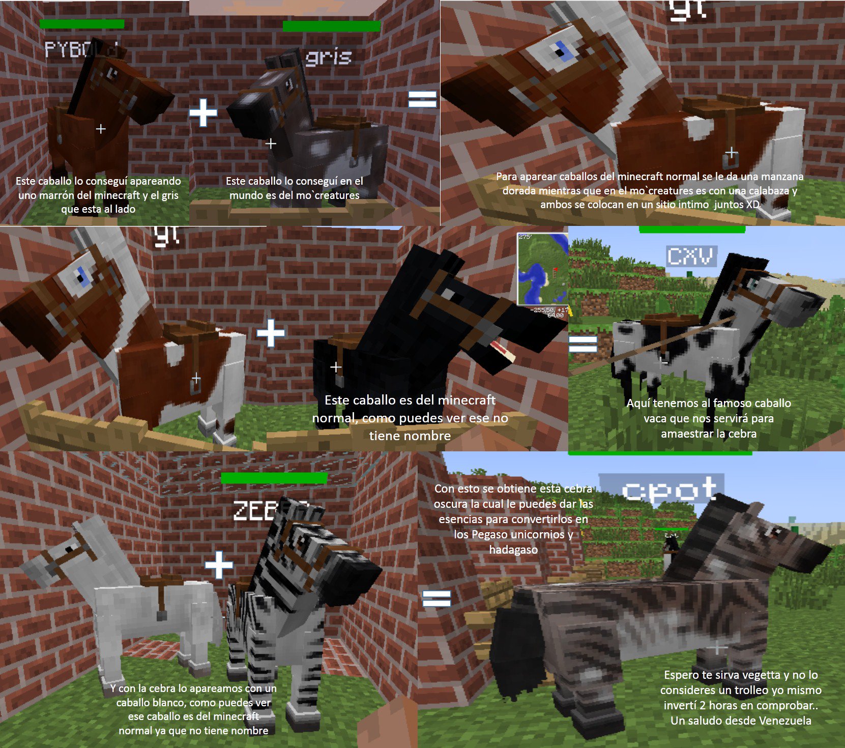 Zorse Minecraft