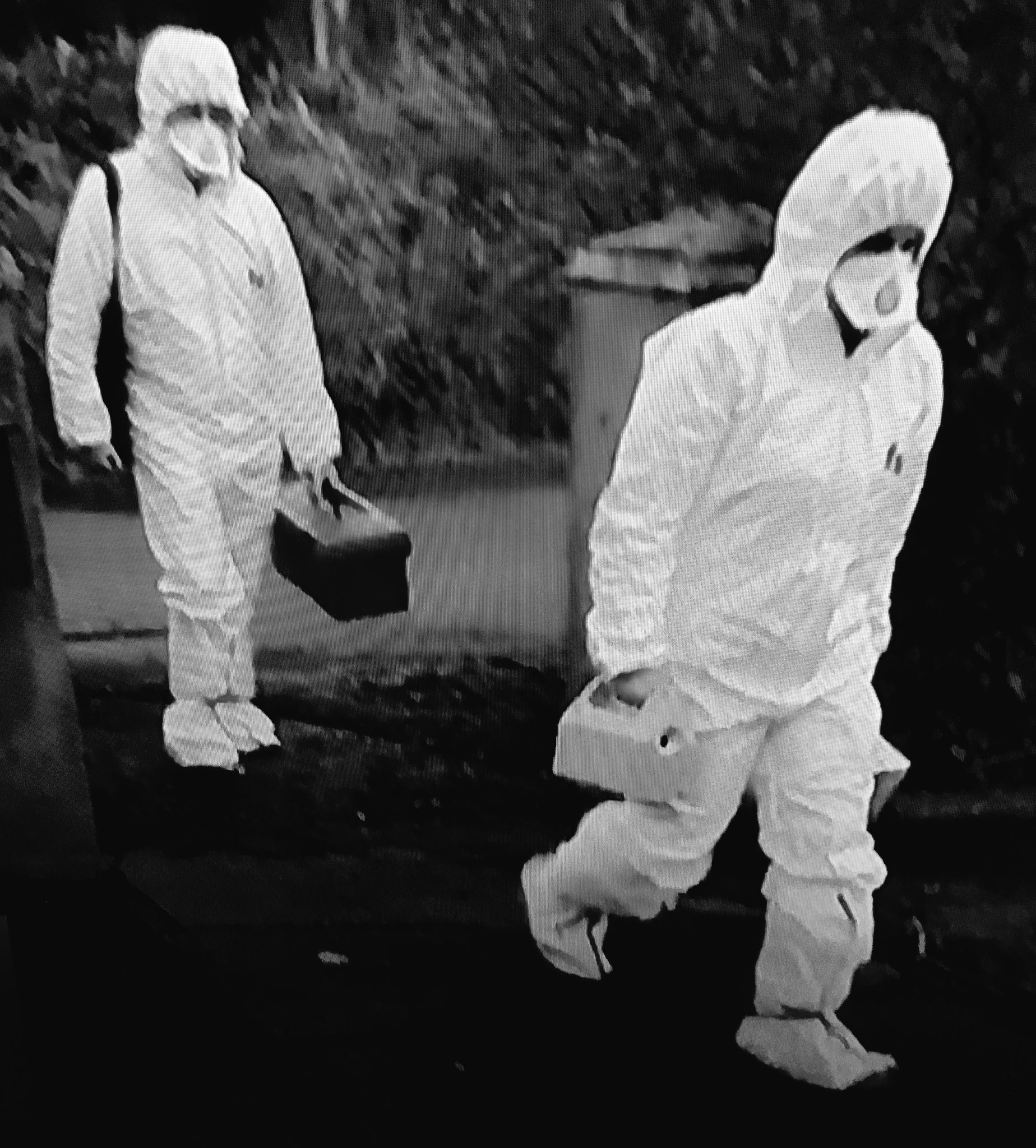 Forensic Science Clothing Premium Vector | Murder Shows And Comfy
