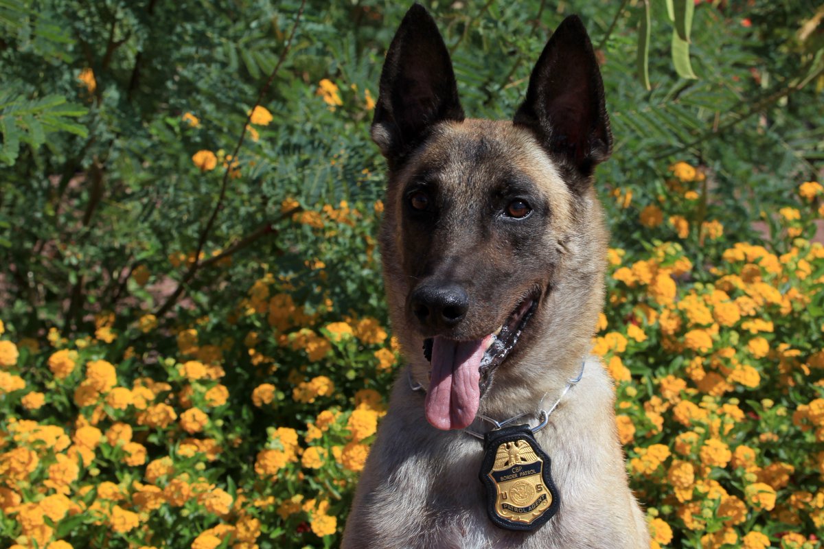 Keven (@PACESecurity) | Twitter