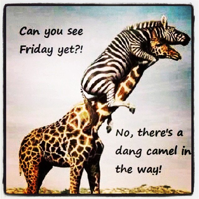 The Weekend Is Coming