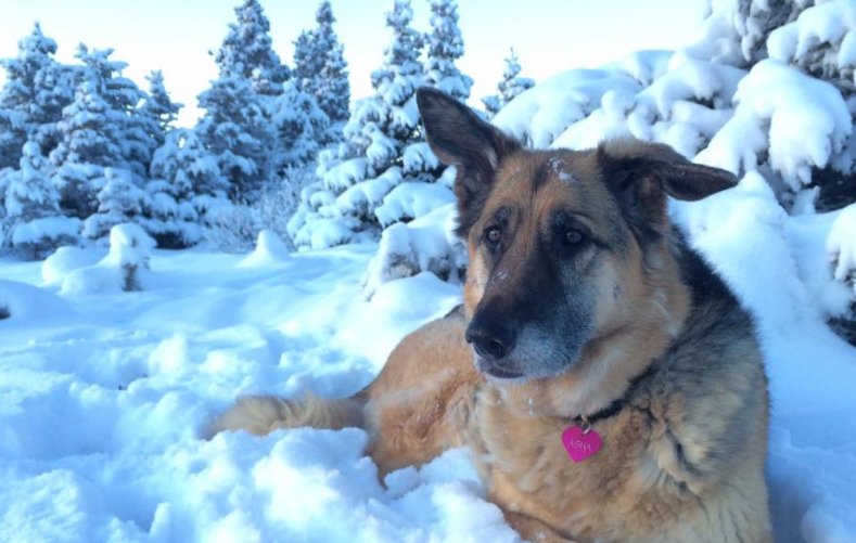 Sean Bourque (@Sean_Bourque) | Twitter