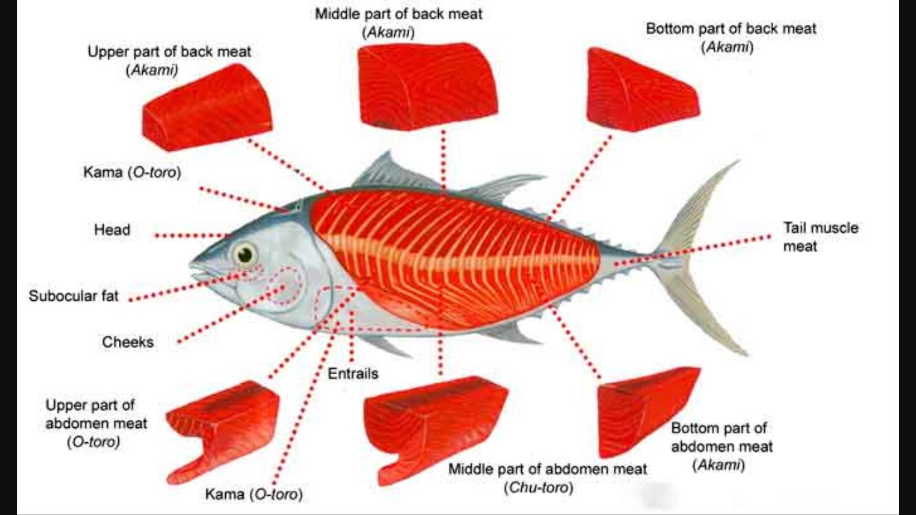 Toro Fish