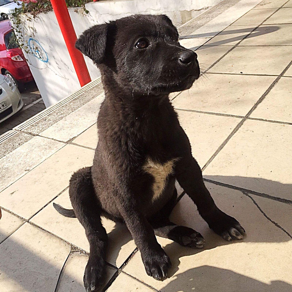 Merima Kuč (@gospodjica_m) | Twitter