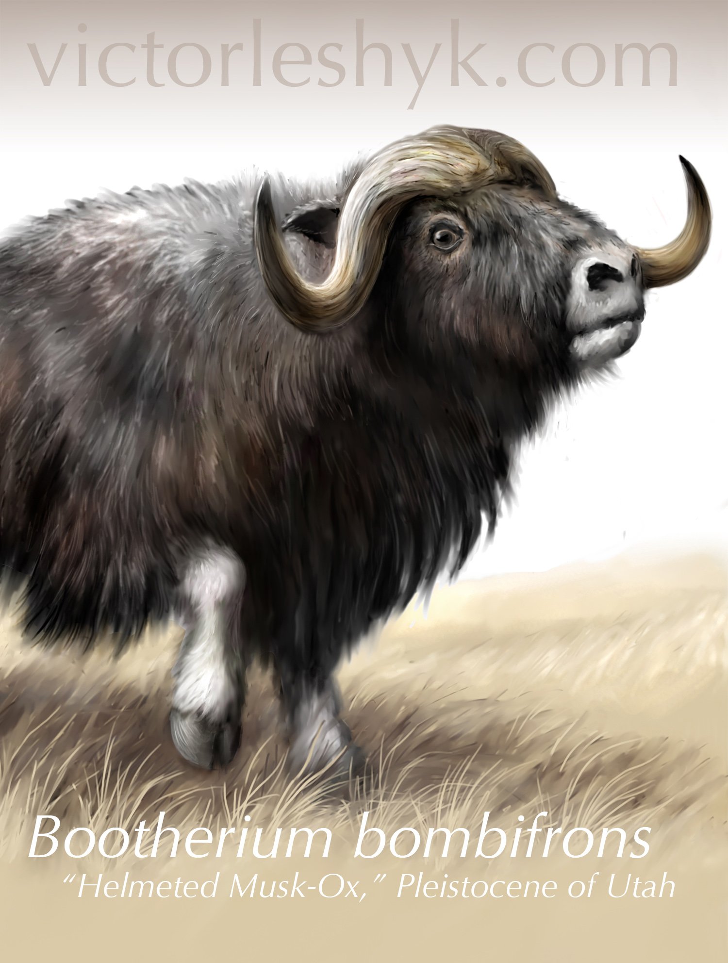 Bootherium Bombifrons